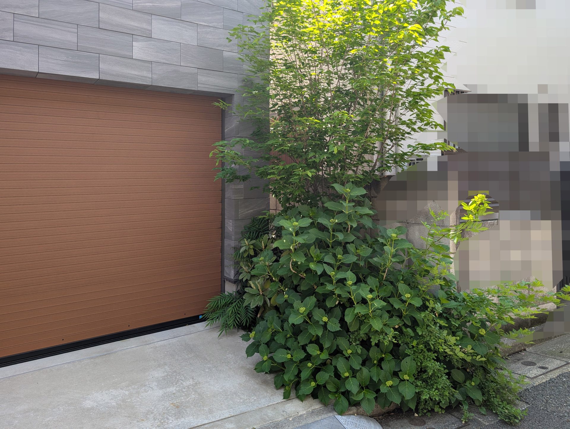 【写真あり】戸建ての植栽を剪定してみた！ビフォーアフターと依頼した業者の紹介 | kikorist日誌